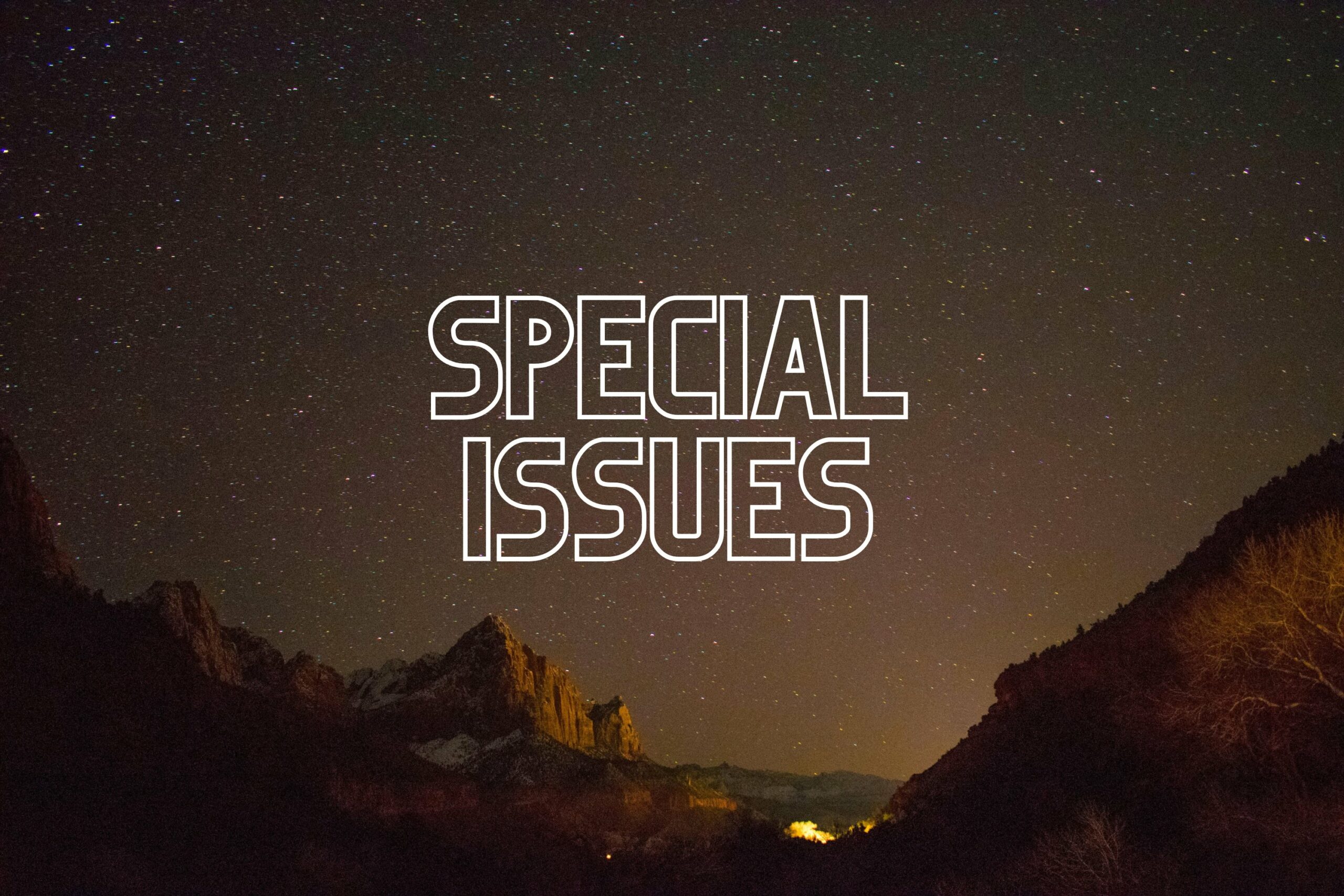 Special issues - Network Law Review